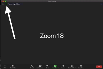 How To Set Up and Lead A Virtual Zoom Choir Rehearsal - Geraldine Latty
